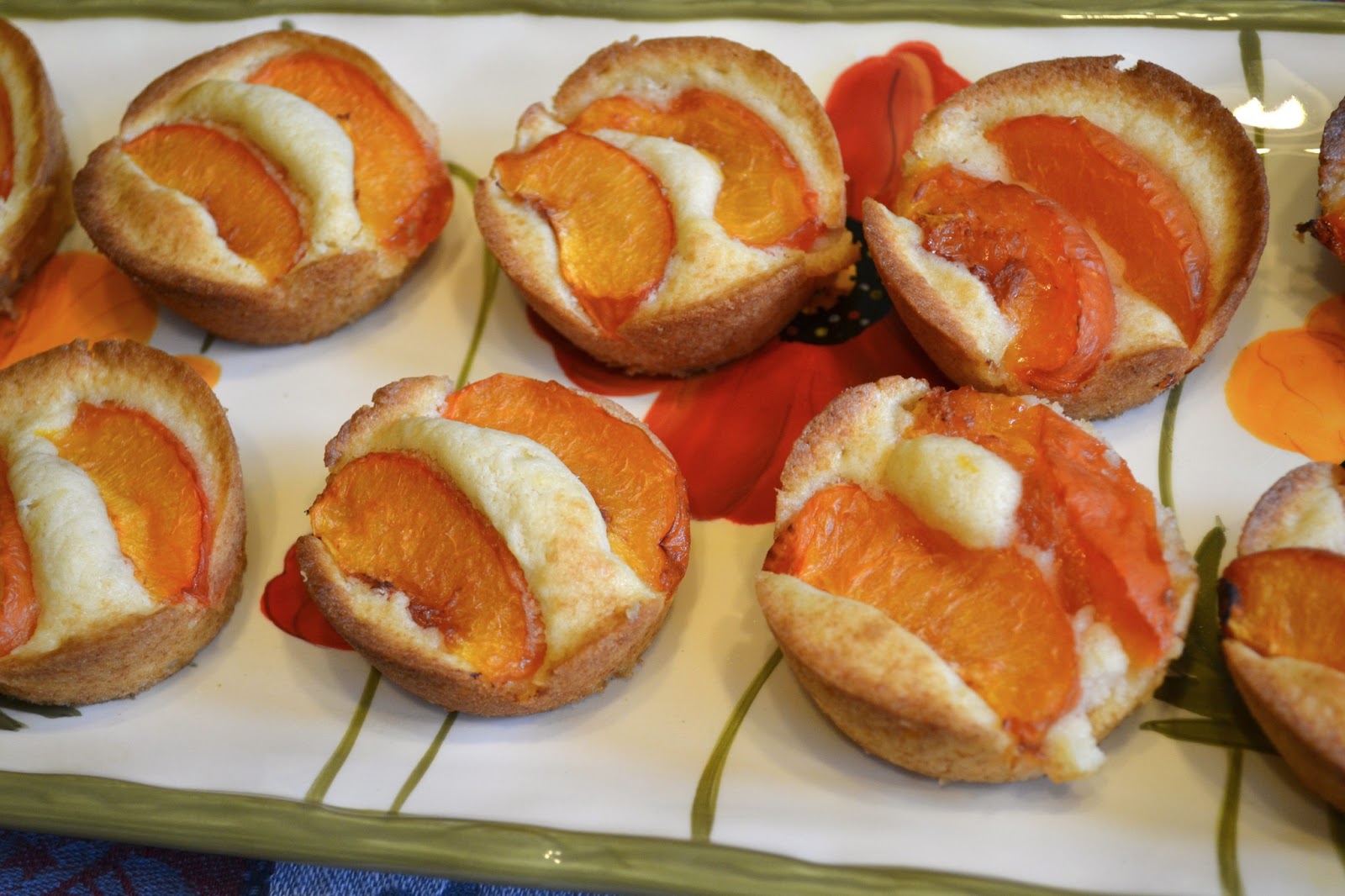 A Taste of Alaska: Vanilla Cake with Apricots and Saving Katie's life