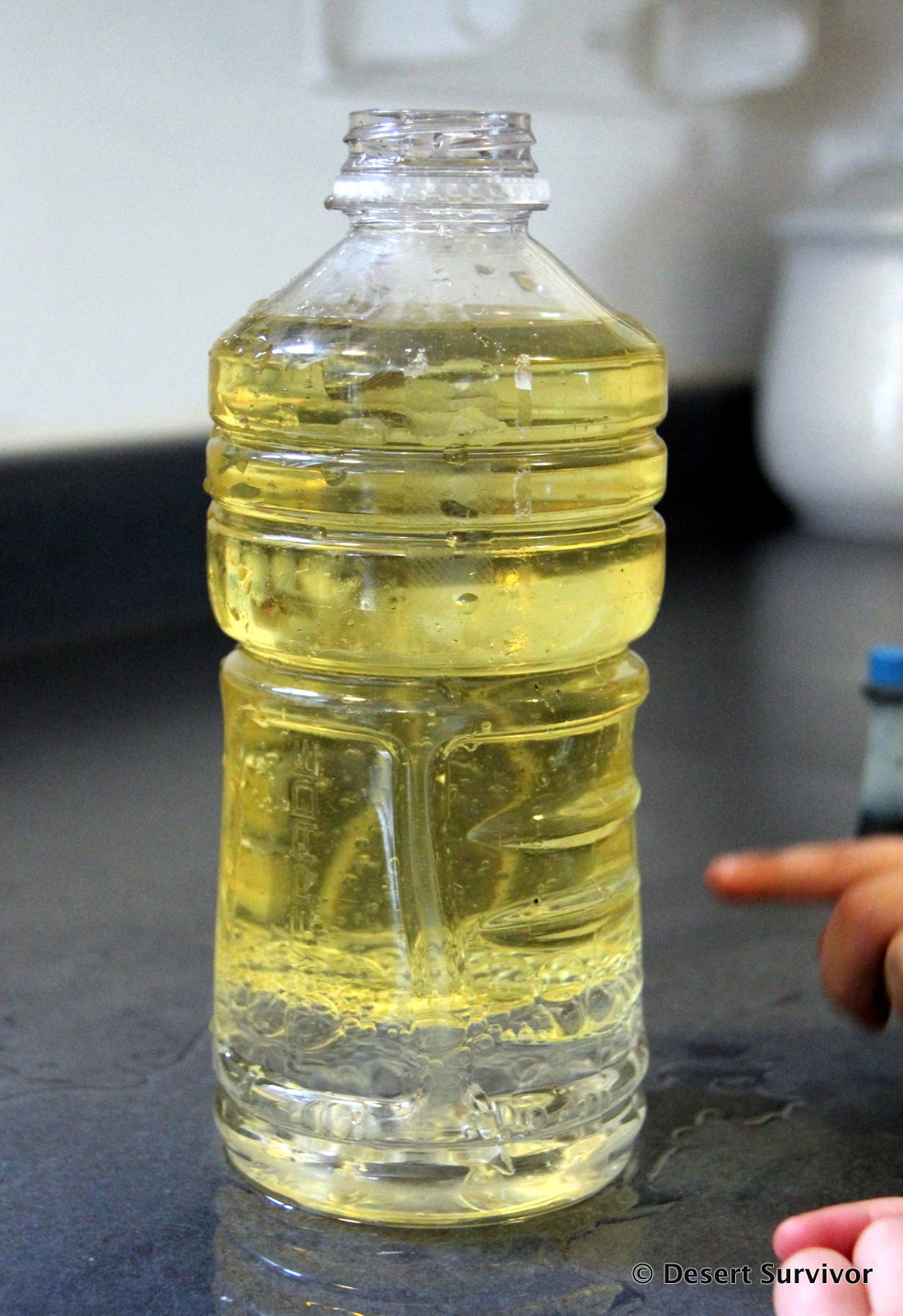 Desert Survivor: Science Experiment: Lava Lamp