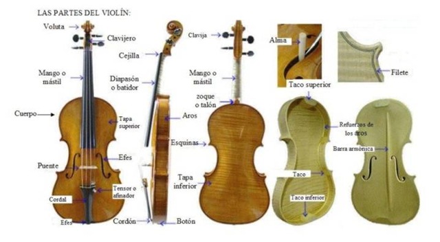 Violineando con Maryluz y Elena!!!!: Partes del violin