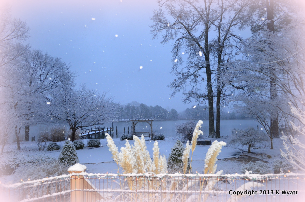 Westie Julep: Freshly Fallen Snow Friday