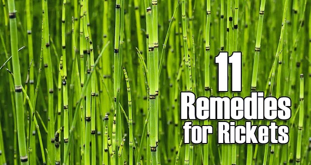TOP 11 HOME REMEDIES FOR RICKETS ~ Mzizi Mkavu