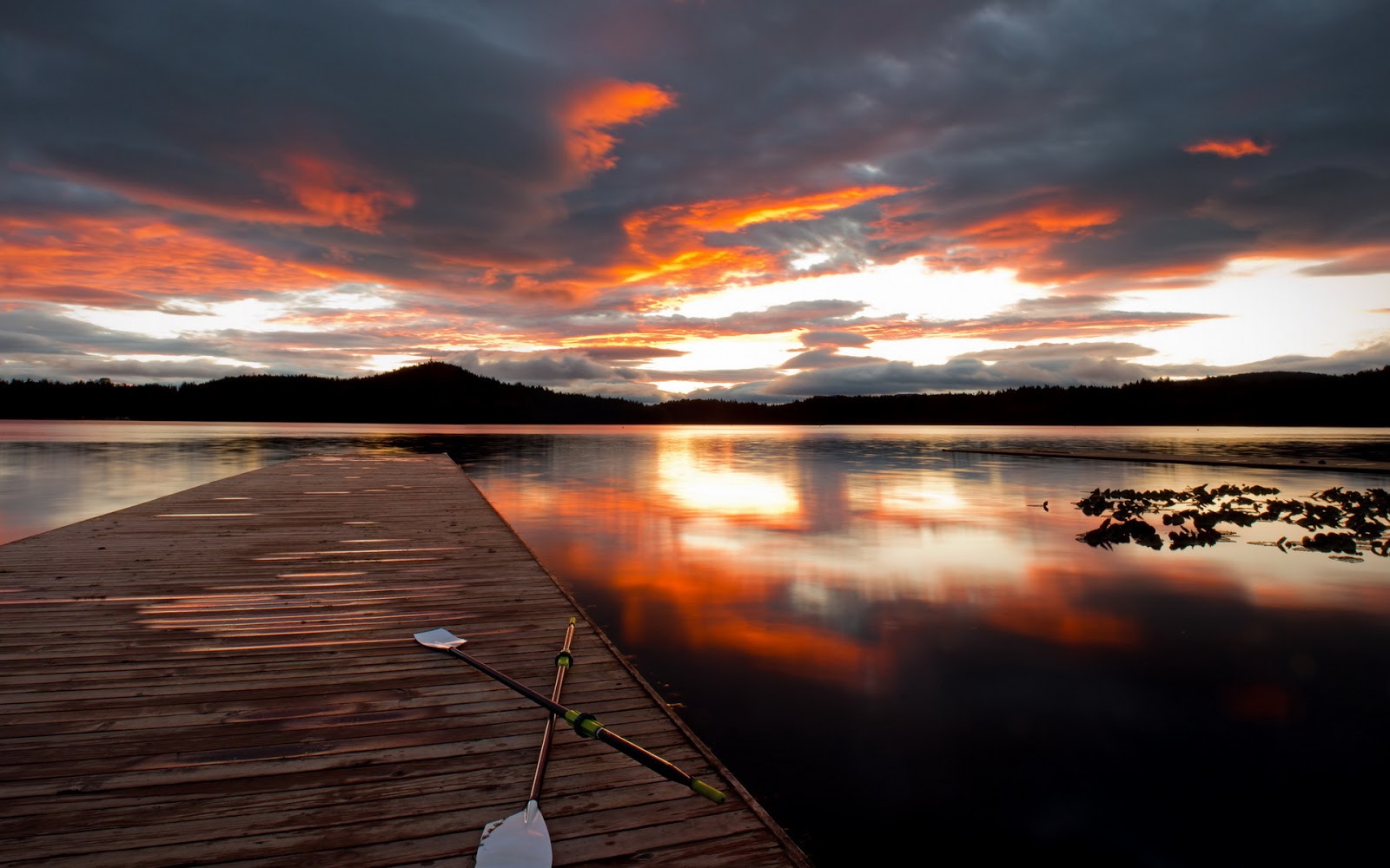 IMAGENES DEL AGUA EN LA NATURALEZA: IMAGEN DE EMBARCADERO CON REMOS