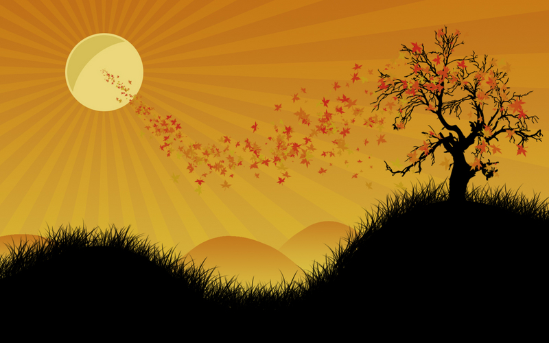 a HAPPY how to: Sunshine in October