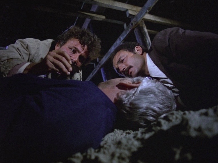 Cult TV Lounge: Columbo season 5 Identity Crisis / A Matter of Honor ... Cult TV Lounge: Columbo season 5 Identity Crisis / A Matter of Honor ...