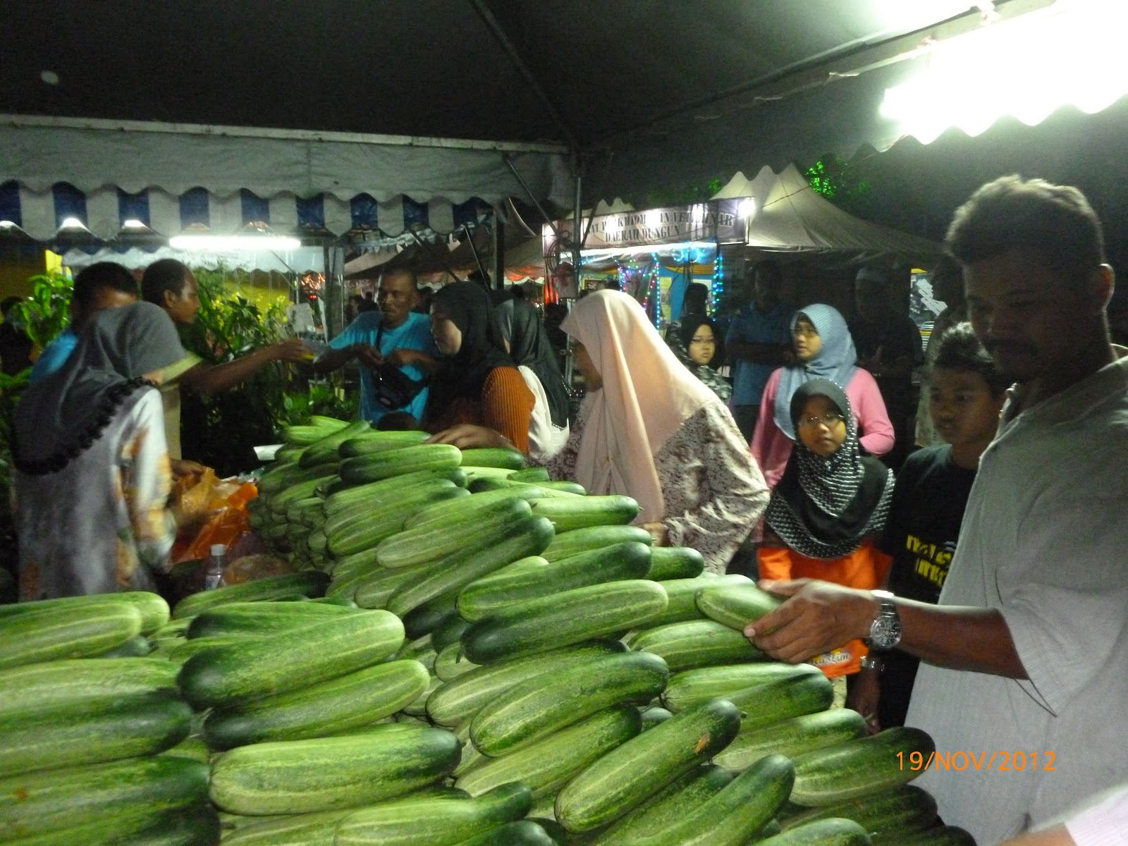 OBO: Projek Tanaman Timun Fertigasi Terbuka Di SMK Kuala Jengal, Dungun ...