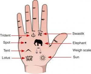 LEARN INDIAN PALMISTRY ONLINE FREE ~ INDIAN PALMISTRY | PALM READING ...
