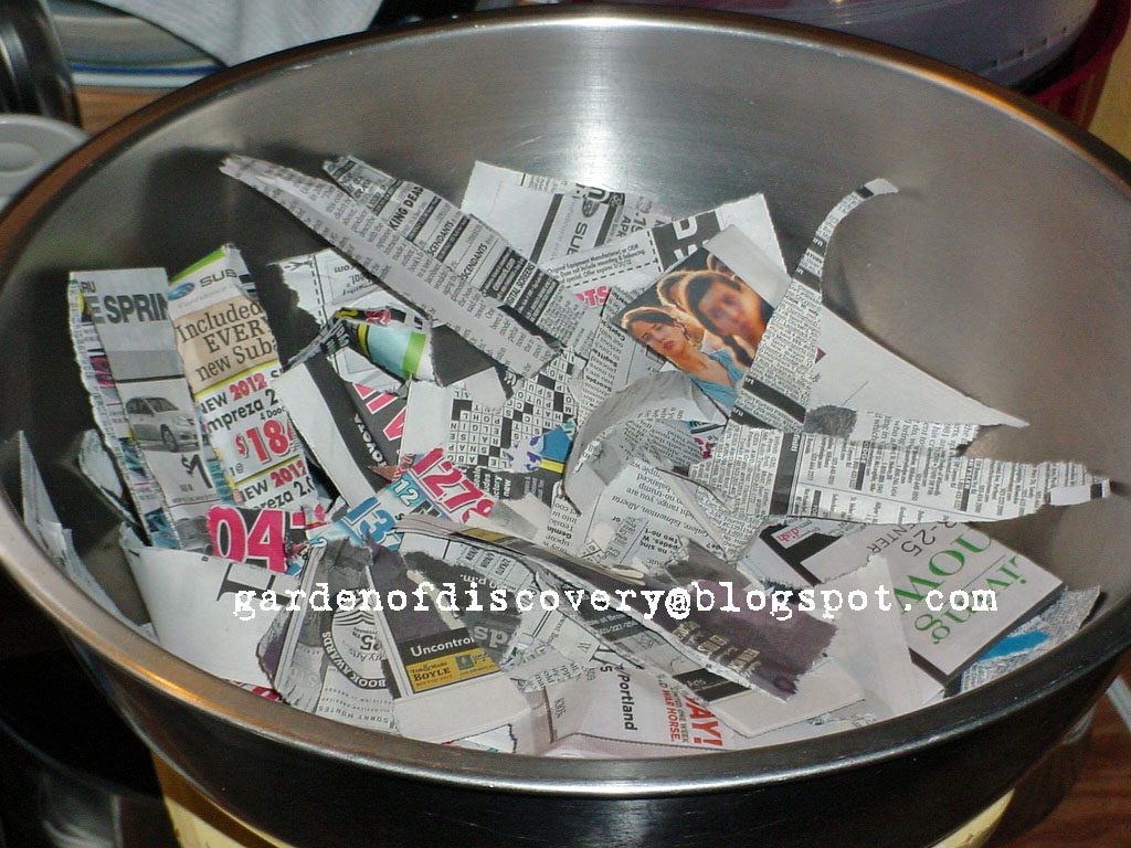 Garden of Discovery: DIY Paper Mache Seedling Pots