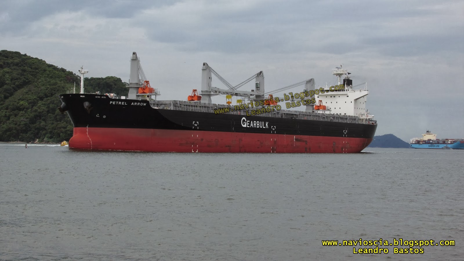 Navios de Santos & CIA: Navio PETREL ARROW