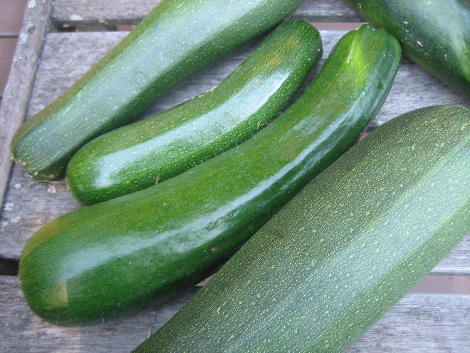 Pureed Pzazz: Zucchini-N-Greens Omelet Filling