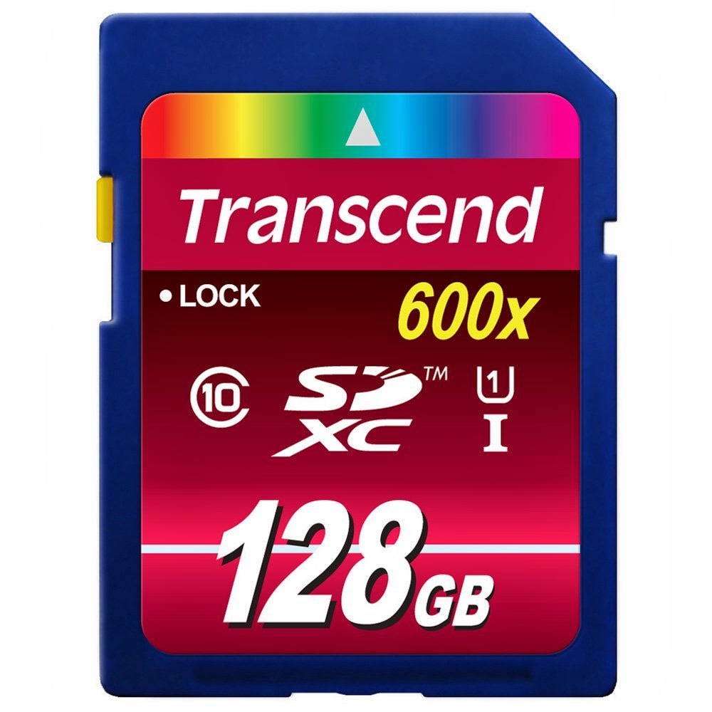 Art Of The Image SD Vs Compact Flash Memory Cards SD WINS The End Of art-of-the-image-sd-vs-compact-flash-memory-cards-sd-wins-the-end-of