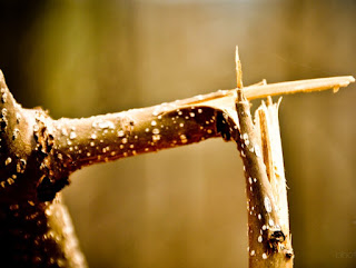 Patah - Airhein Journals