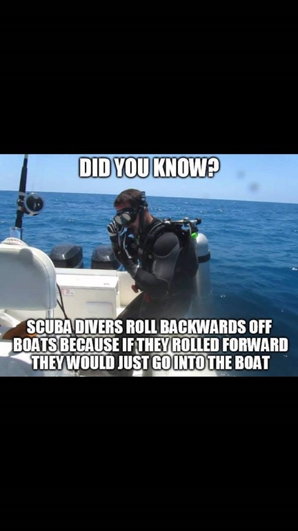 Did you know, scuba divers roll backwards off boats because if they ...