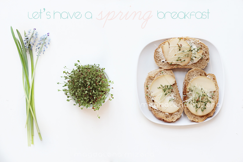 magda mizera | scrapbooking, photography and more: spring photo prompts