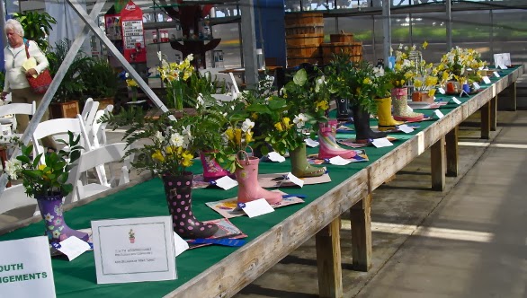 American Daffodil Society - new webpage