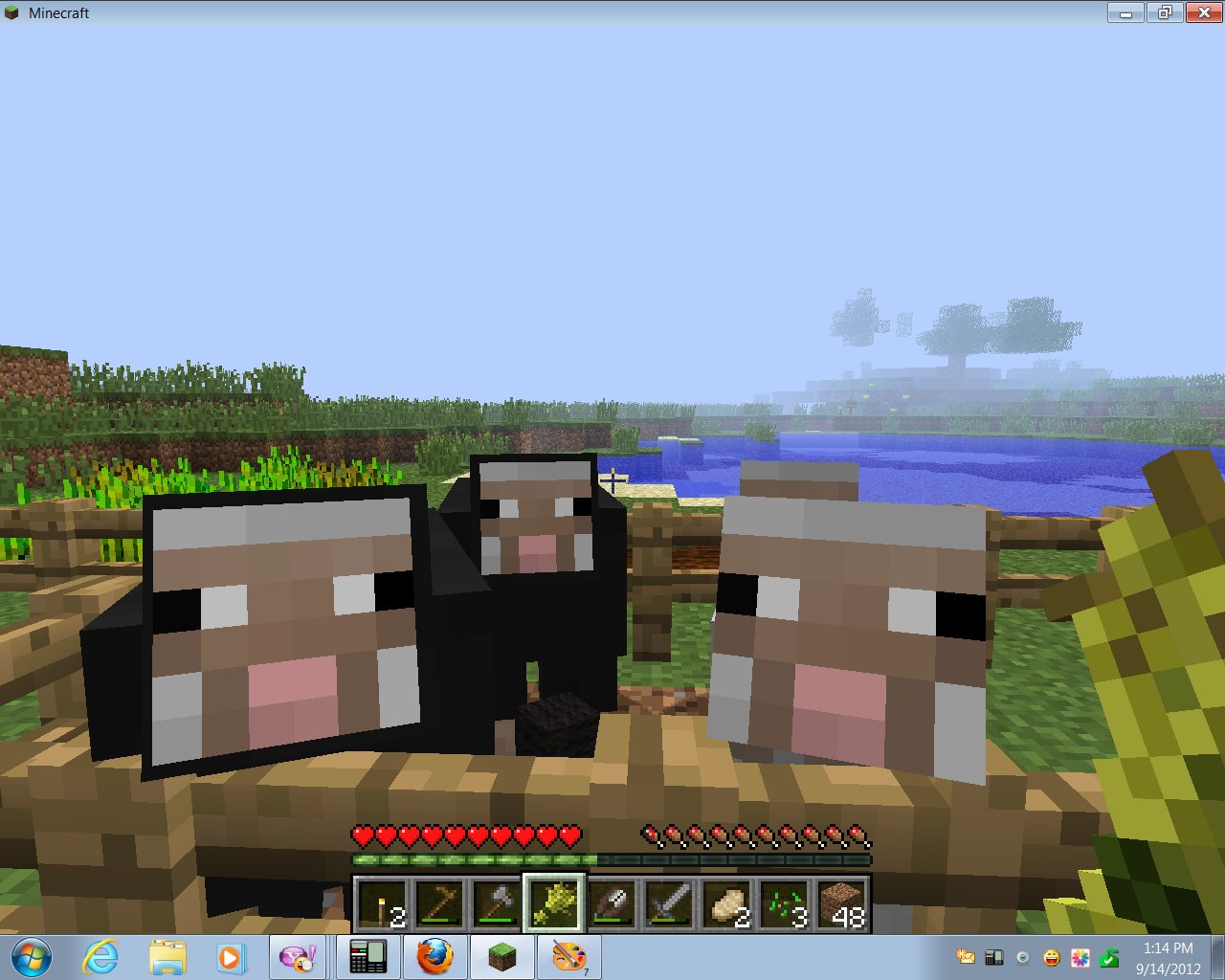 Little Mouse Ears Plays Minecraft: Black Sheep in the Family