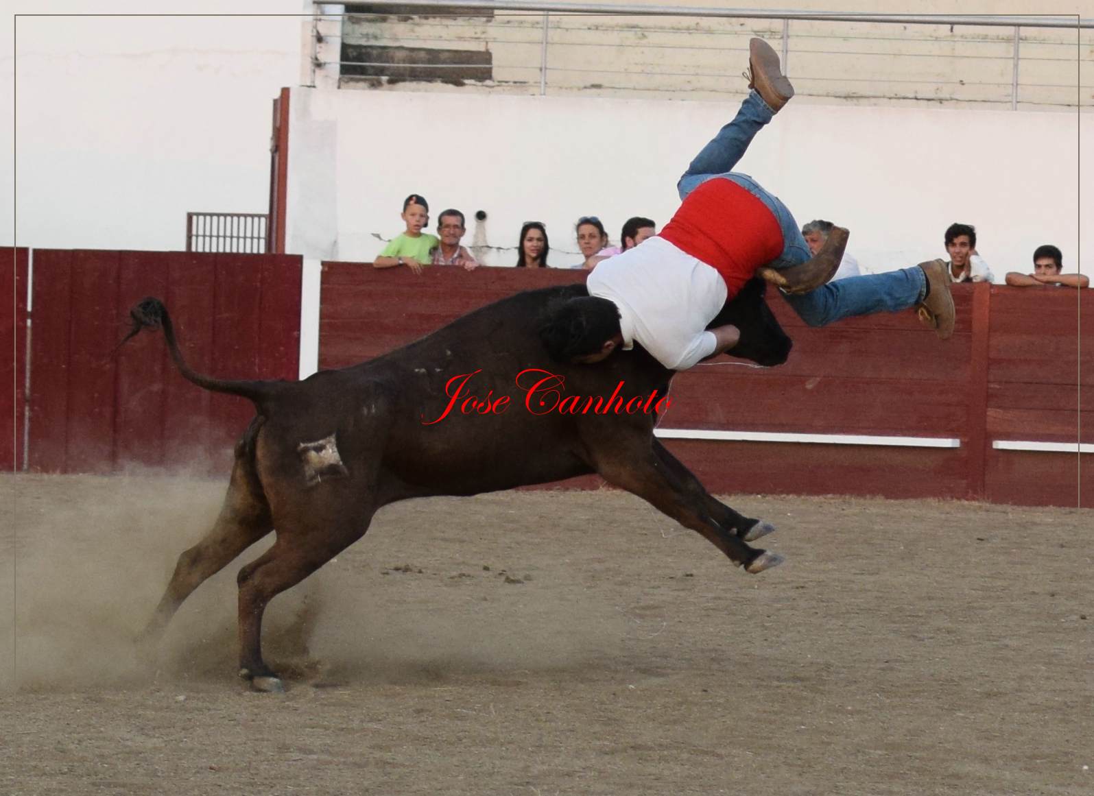 Grupo de Forcados Amadores da Moita: Treino em Canhã dia 20 de Fevereiro