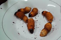 EL RINCONCITO DE AUCAYACU: Encantos de la selva en sus platos típicos ...