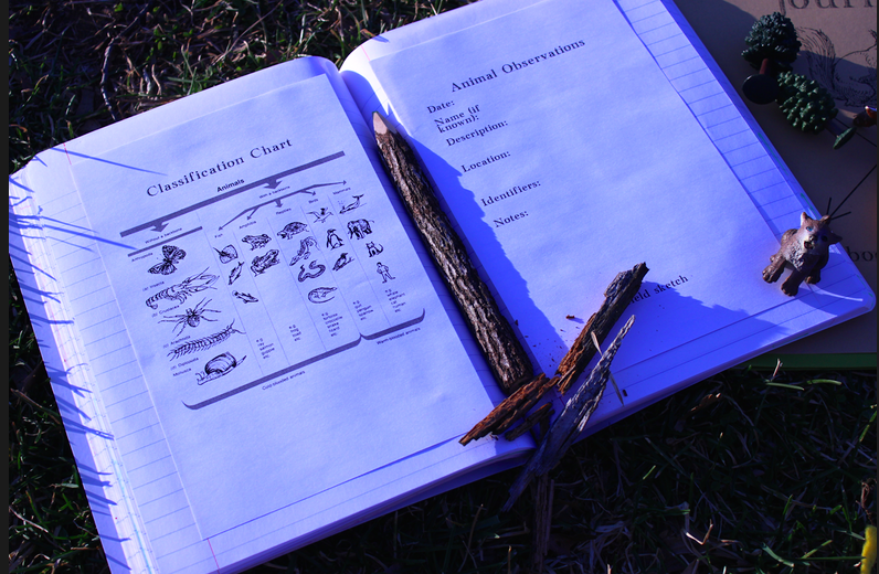 Different Dog - A Simply Beautiful Life: Wild Kratts Field Journal ...