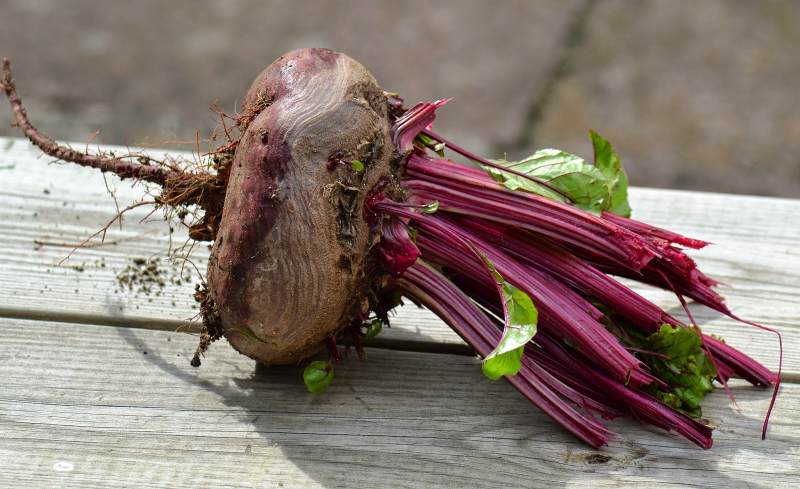 Rode bieten uit de oven met balsamico en bruine suiker | Koks in ...