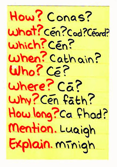 Study Notes By Kaz: Irish Vocab & Paper 1: OL