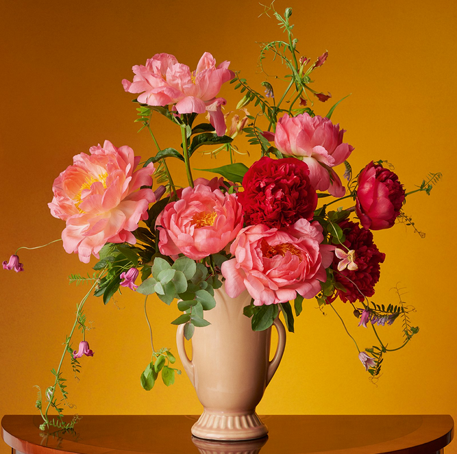 ARIEL DEARIE FLOWERS: Flowers for LOEWE