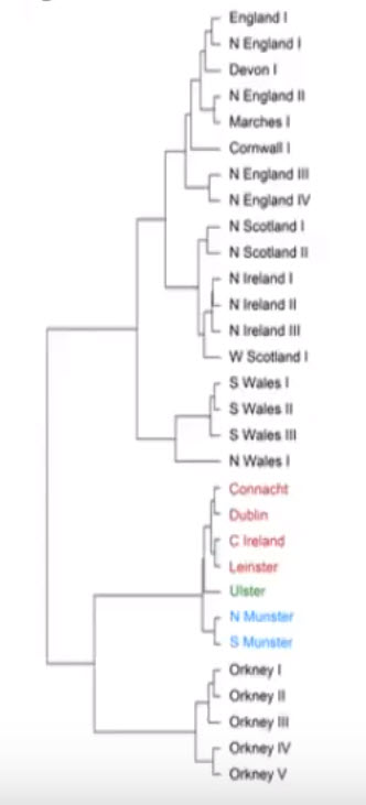 Canada's Anglo-Celtic Connections: YouTube: Irish DNA Atlas