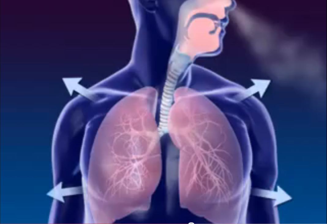 PROF. SÉRGIO NUNES - QUALIFIS - ATIVIDADE FÍSICA PERSONALIZADA: VAMOS ...