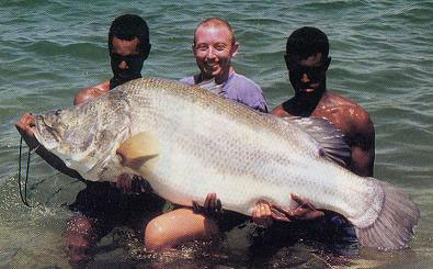 Record Nile Perch River