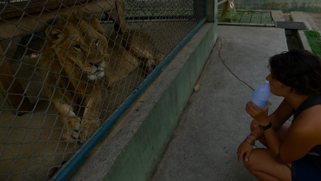 Anne and Monica: Tiger Kingdom and the Elephant Sanctuary