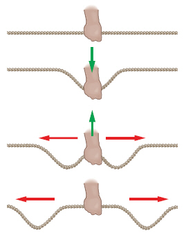 Transverse Waves Simulation - Juany's Science Blog