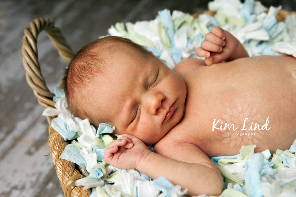 KIM LIND PHOTOGRAPHY {the blog}: Welcome, baby Will! | Kim Lind ...