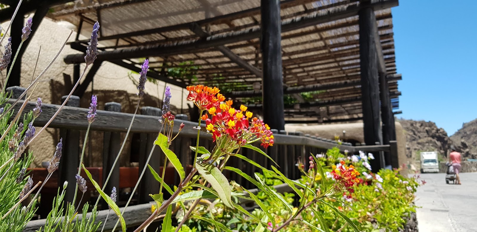 Die Canarios leben hier seit der Zeit der Altkanarier in Höhlenhäusern ...