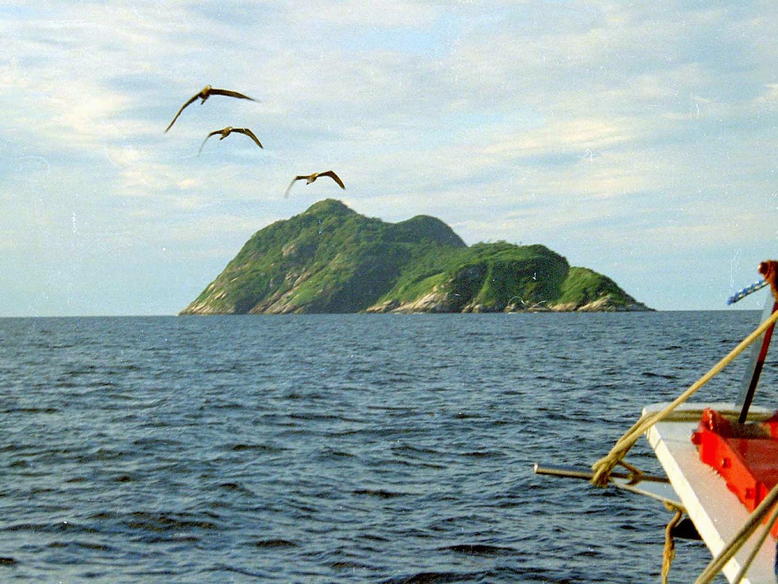 Kingdom of Golden Lancehead : Dangerous Snake Island Ilha da Queimada ...