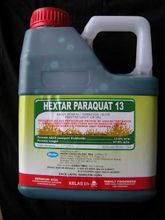 Guru Juga Peladang: Penggunaan Racun Untuk Tanaman Sawit