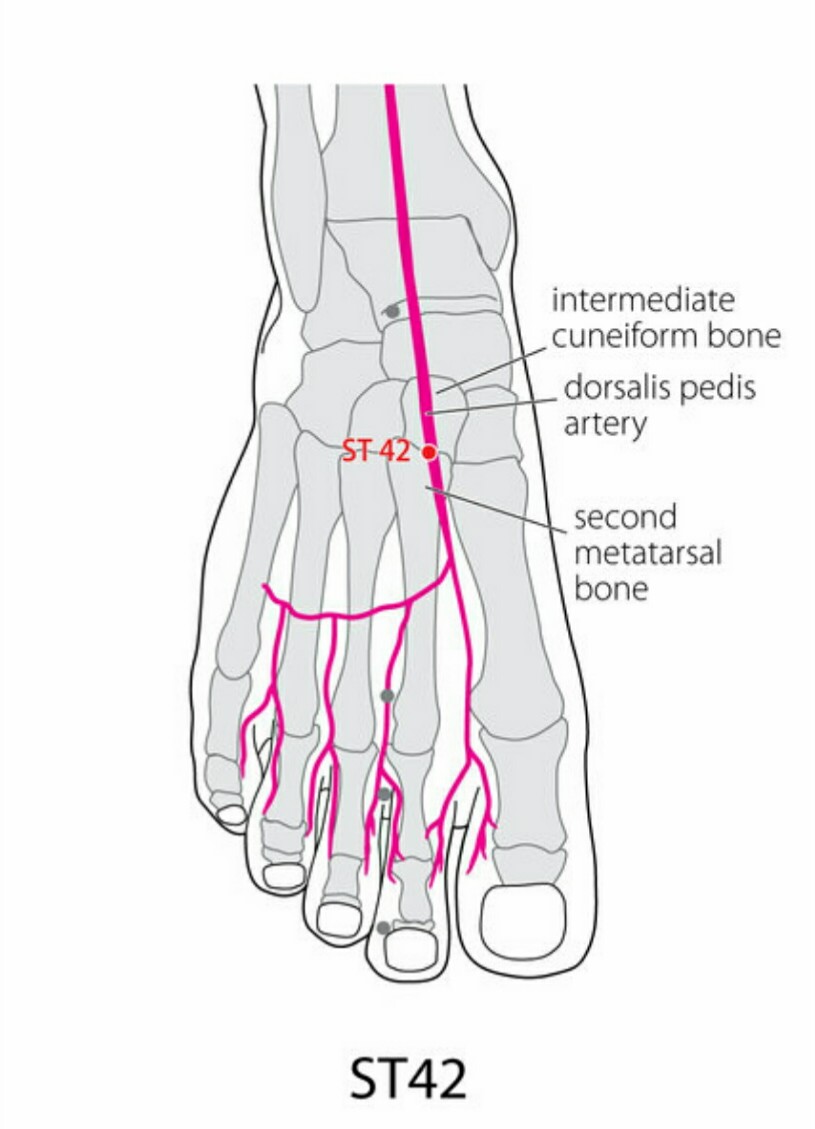 SaroEpic Acupuncture : Source points