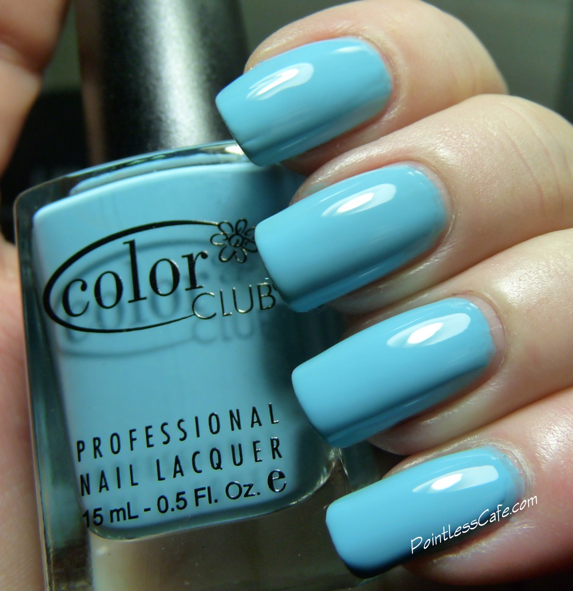 Color Club Evolution | Pointless Cafe