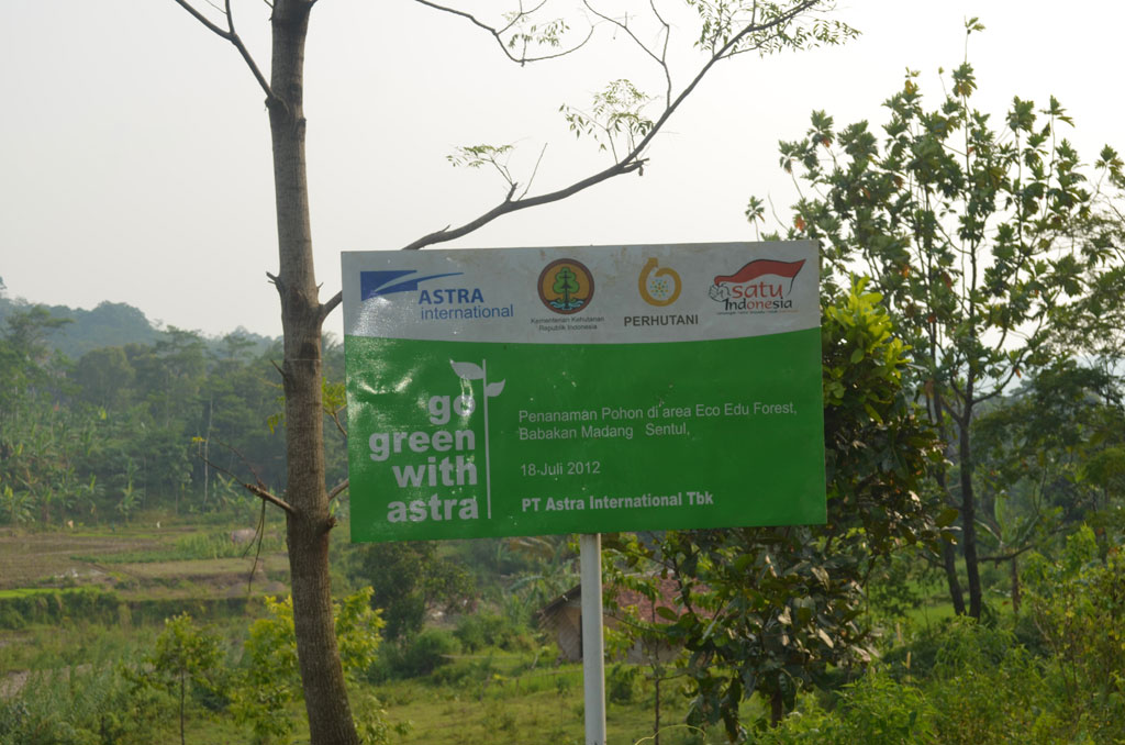 Marek Bialoglowy's Blog