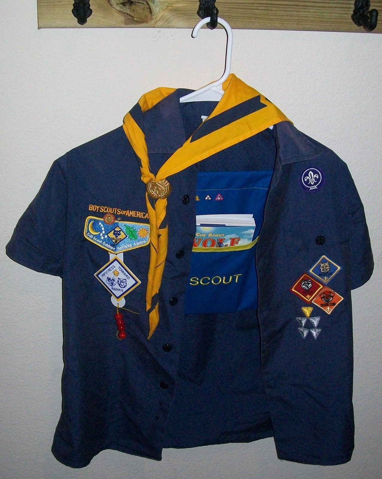 Cub Scouts