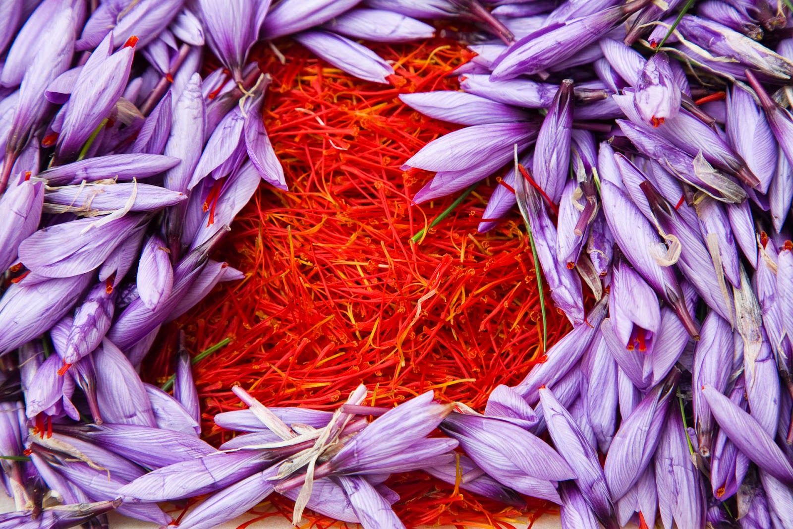 Safra de bri: CONDIMENTOS-HIERBAS Y ESPECIAS(segunda parte)