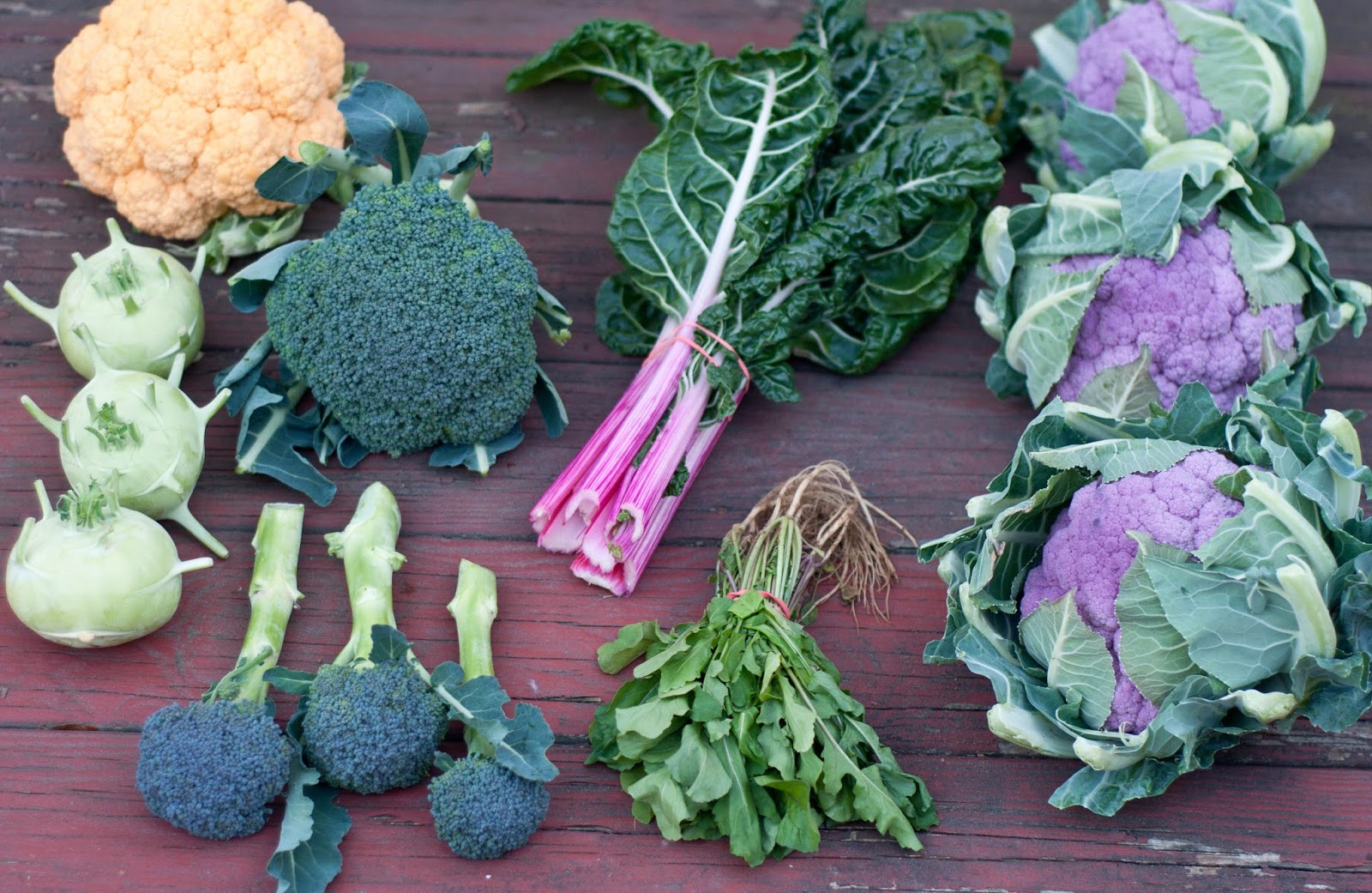 Robson's Farm: November/December Vegetable Shoot