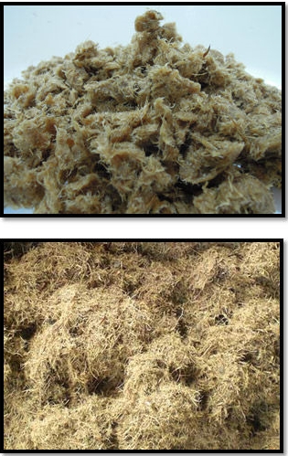 Mini Galery: Proses Pembuatan Pulp Dari Bahan Baku Non Kayu (Organosolv ...