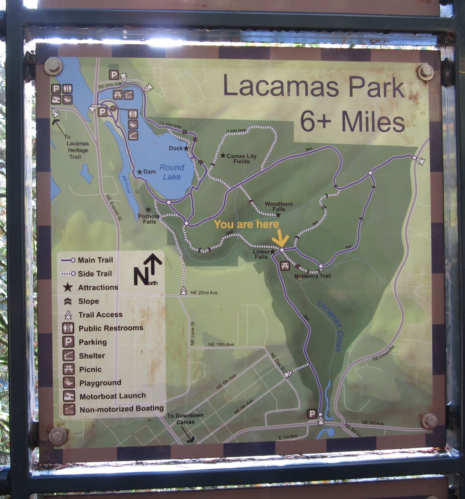Flying into the Light: Lacamas Park Revisited