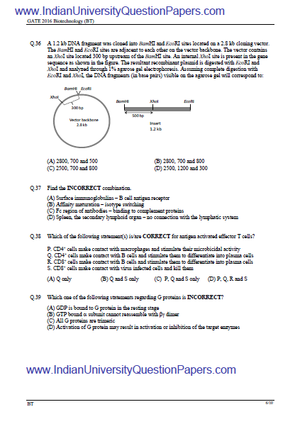 GATE-2016 BT Biotechnology Question Paper PDF - University Question Papers