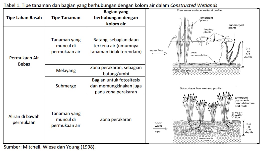 PENGOLAHAN LIMBAH DOMESTIK DENGAN TEKNOLOGI TAMAN TANAMAN AIR ...