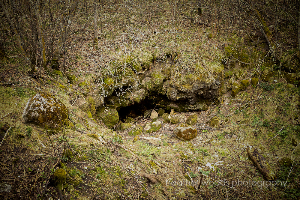 Family Things to Do in Winnipeg & in Manitoba: Snake Dens; CHECK!