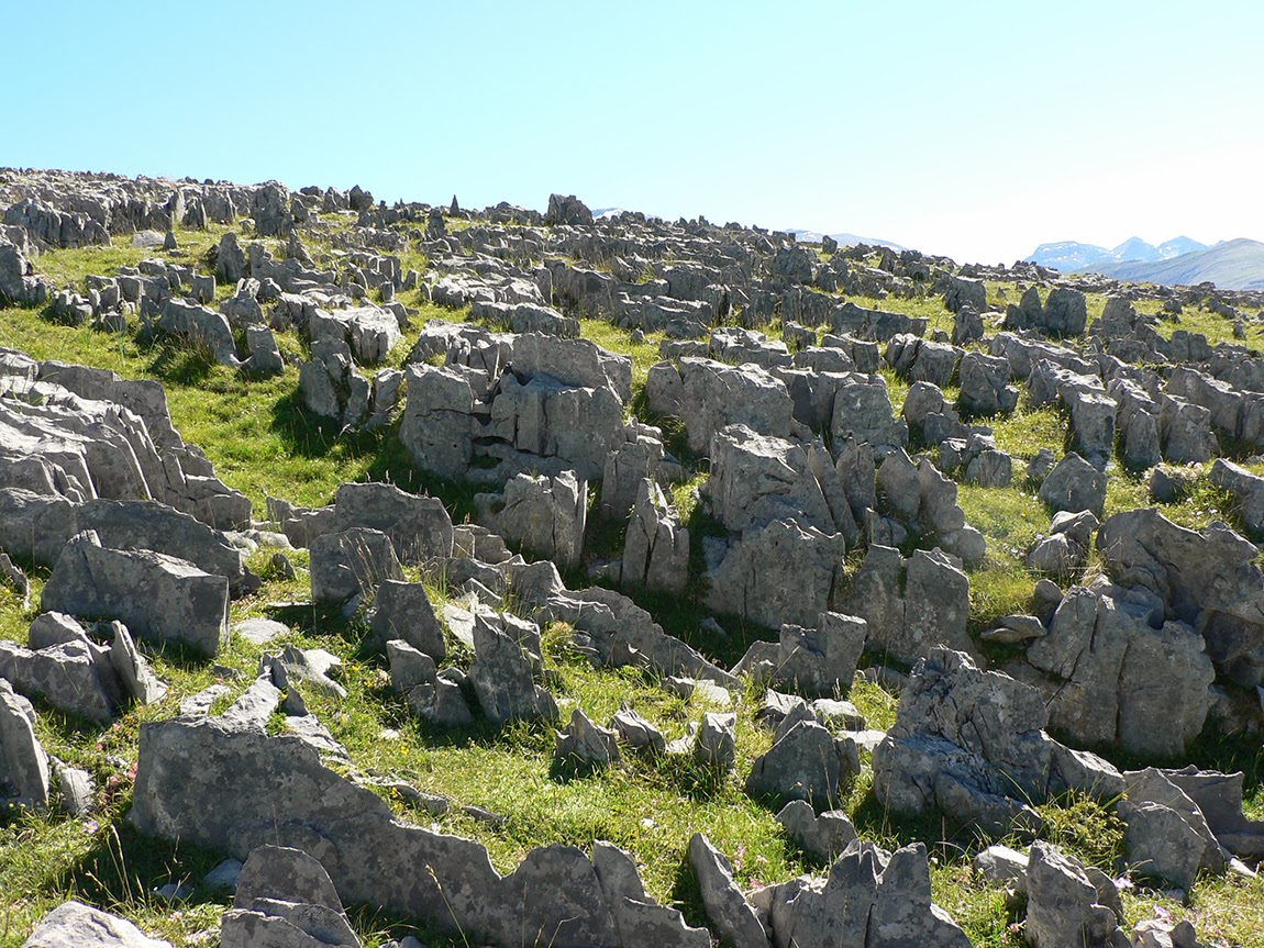 CURIOSIDADES CIENTÍFICAS : Lenares o Lapiaces