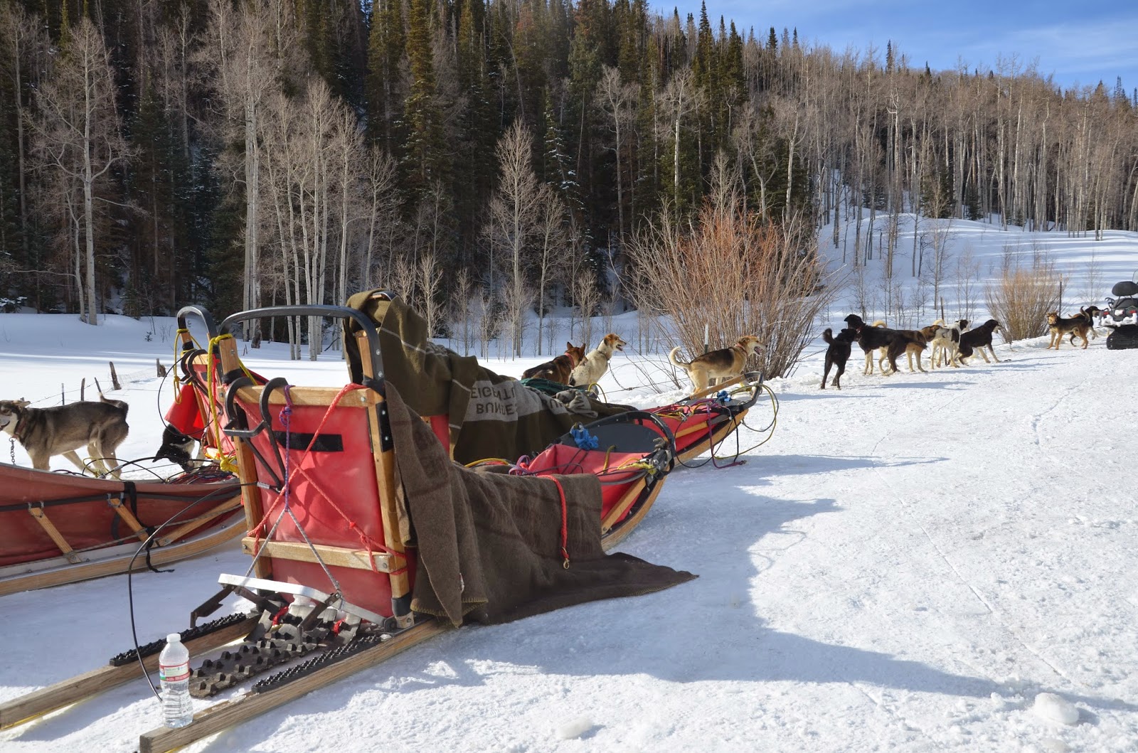 Photo Journal: March 14 - 22, 2014 - Spring Break in Steamboat, Colorado