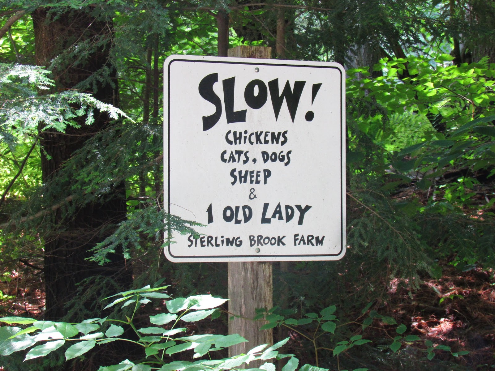 Vermont Covered Bridges: Emily's Bridge - Really Haunted?