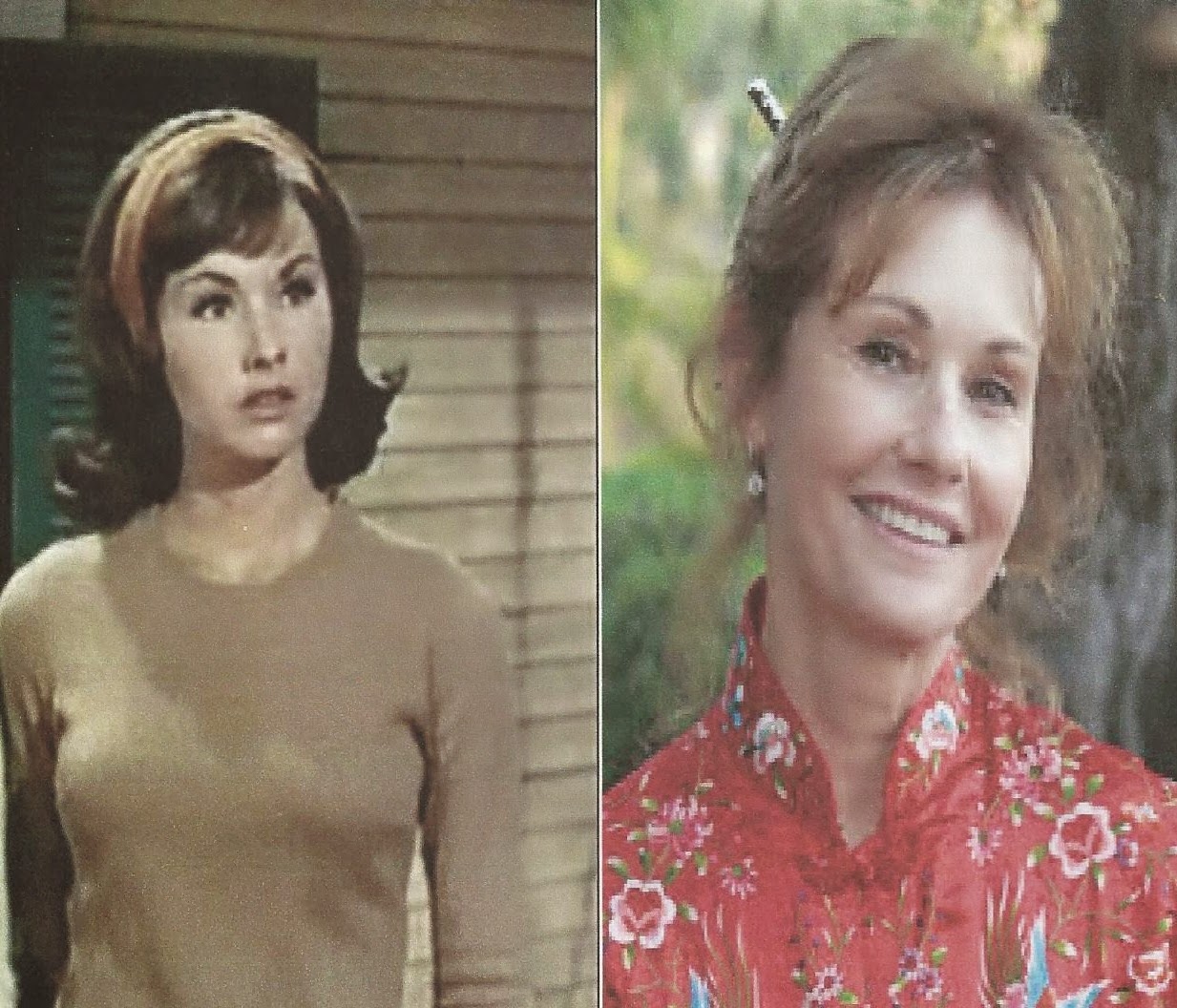 The Lu Lac Political Letter: December 2013