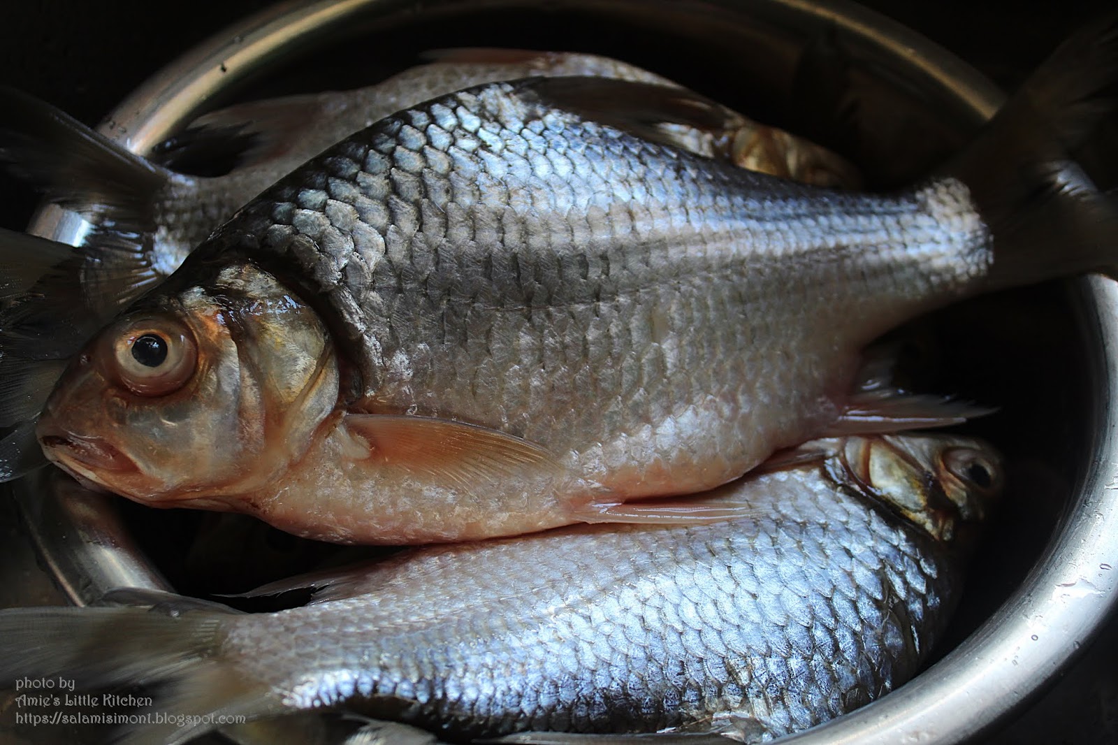 Jalan-Jalan Cari Ikan Air Tawar di Pasar Tamu di Kampung Paris - Amie's ...